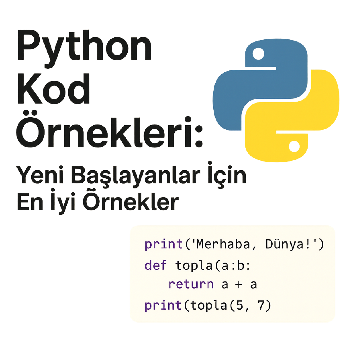 Python Kod Örnekleri | Yeni Başlayanlar İçin En Basit Python Kodları